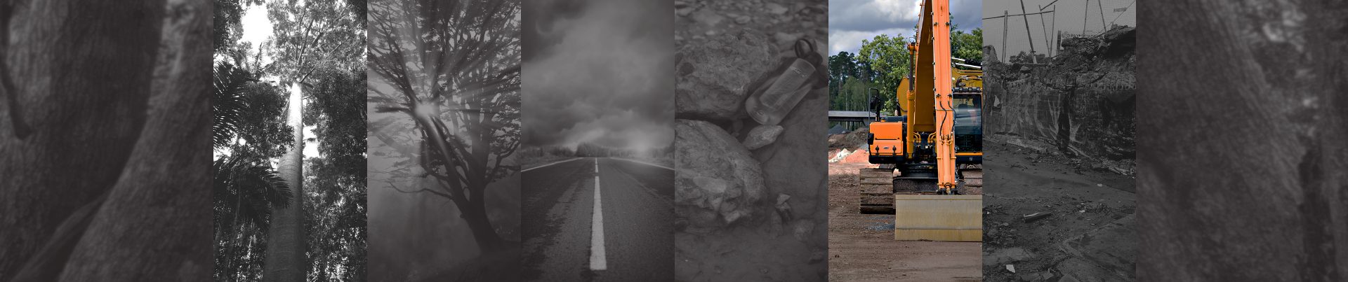 s5 Environmental | Construction Environmental Managements5 Environmental